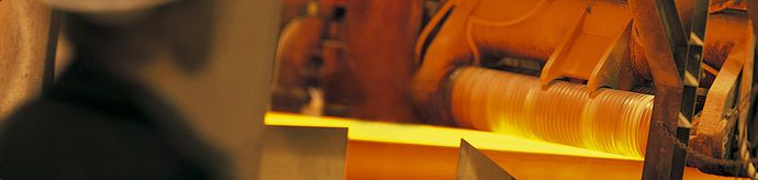 The Institute of Indian Foundrymen